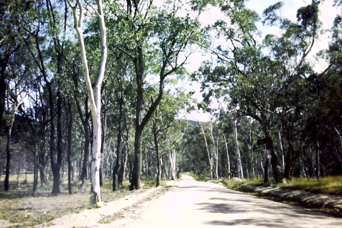 Tidbinbilla construction